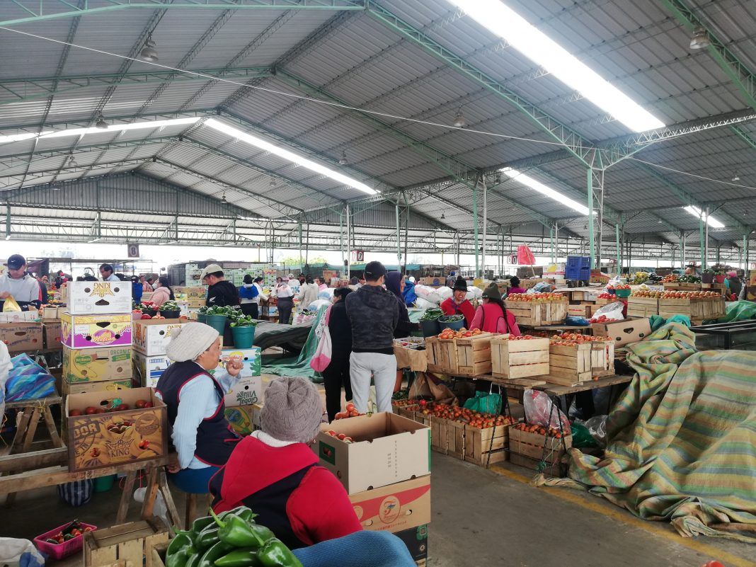 Mercado Mayorista solo venderá al por mayor