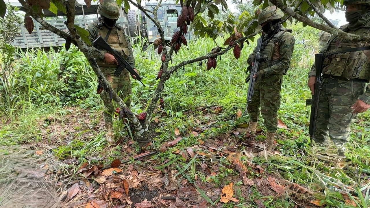 Militares decomisan armas y municiones en operativo en Las Naves
